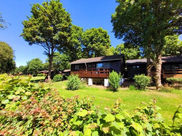 Chalet La Boverie 195 - La Roche-en-Ardenne