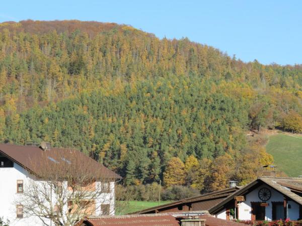 Traumblick Am Bartelsborn - Bad Wildungen