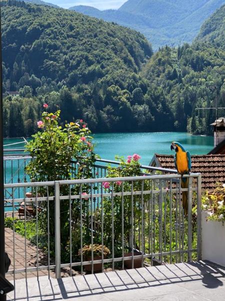 Residence Belvedere - Piancavallo
