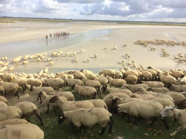 Le Clos De Beauchamps L'entre 2 Baies Accueil Vélo - Plage de Saint-Valery-sur-Somme