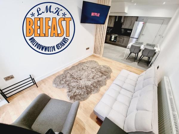 Lmk, Spacious 1 Bedroom Ground Floor Apartment, Ev Charger, Free Parking Wi-fi, Great Location - Belfast