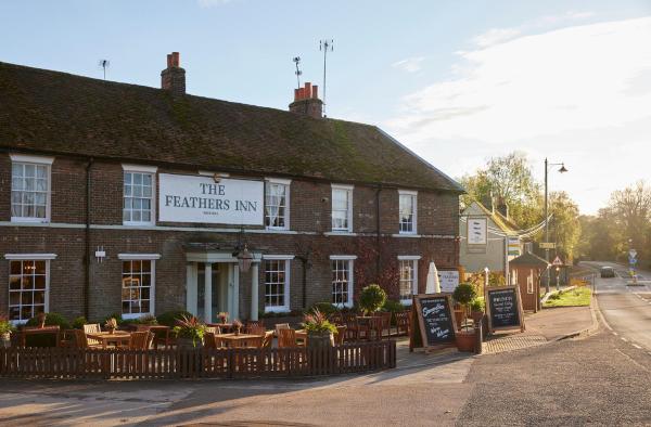 Feathers By Chef & Brewer Collection - Essex