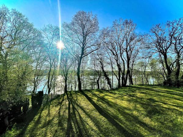 100m2 Fewo Im Haus Am See Mit Garten Bei Potsdam - Schwielowsee
