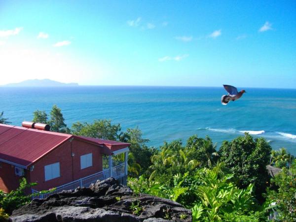 Le Nid De Bellemont - Guadeloupe
