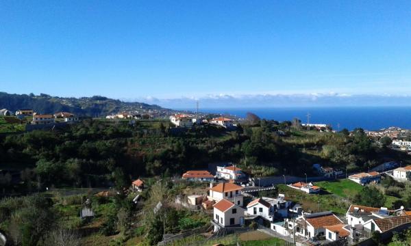 Al - Perola Dourada - Faial