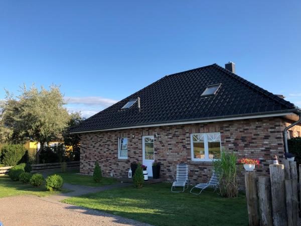 Graureiher - Darß, Allemagne