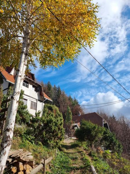 Apartman Na Stazi - Bela Reka, Kopaonik - Kopaonik