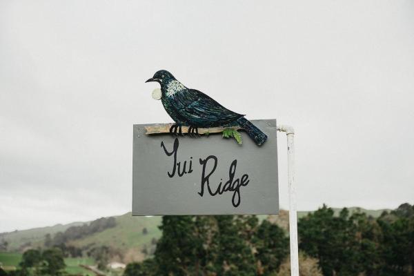 Tui Ridge Cottage - Ngatea