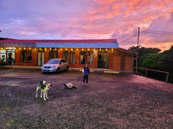 Cabinas Selva Verde - Costa Rica