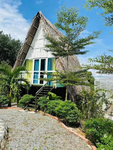Vulunvili Homestay - Gò Dầu District