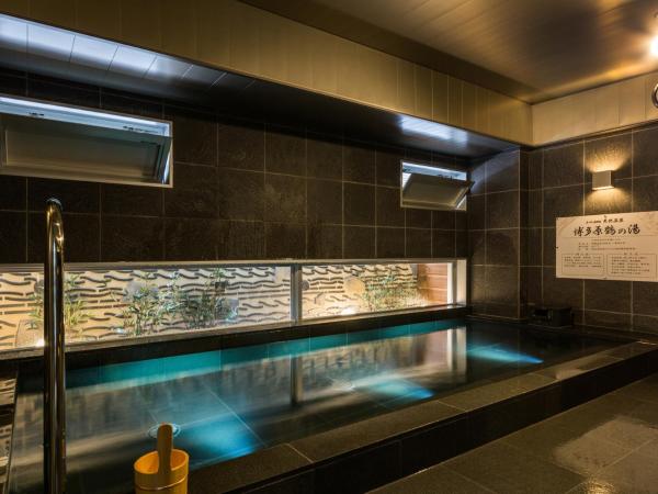 Super Hotel Premier Hakataeki - Dazaifu