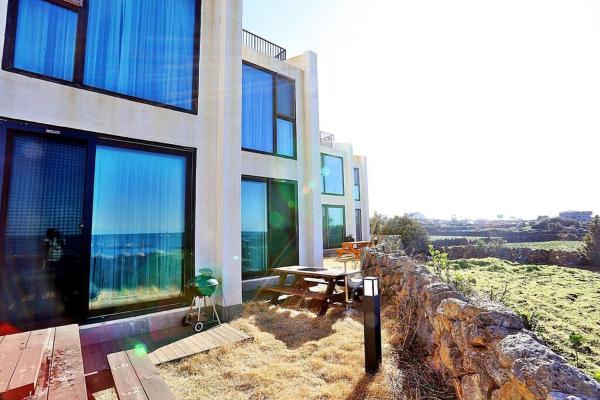 Coveted Palms Village Pension - Jeju-do