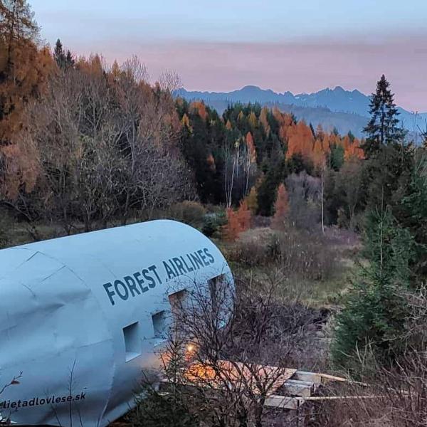 Lietadlo V Lese - Eslováquia