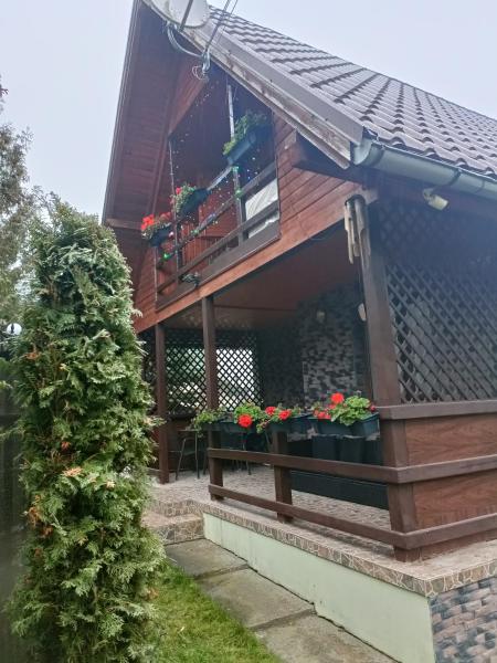 Vila Roxy - Câmpina