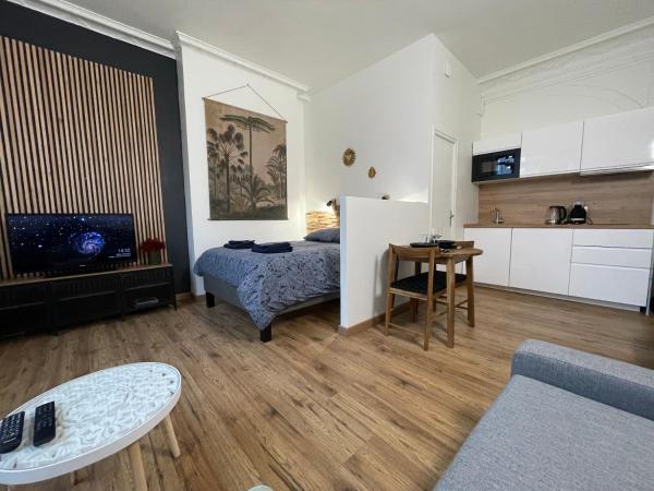 L'escale Studio Arras Avec Parking Privé - Arras