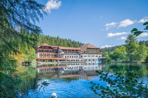 Hotel Langenwaldsee, (Freudenstadt), Einzelzimmer, 17 Qm, Mit Du/wc Und Balkon - Lauterbad