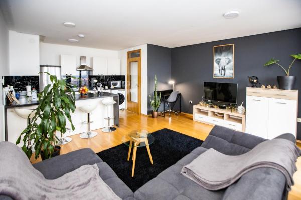 Hermes Apartment & 2 Free Garage Secured Parkings - Liubliana