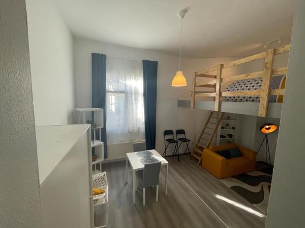 Sofieflat - Wallifolie - Charleroi