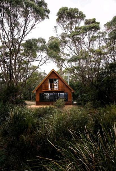 Periwinkle At Great Bay - Bruny Island