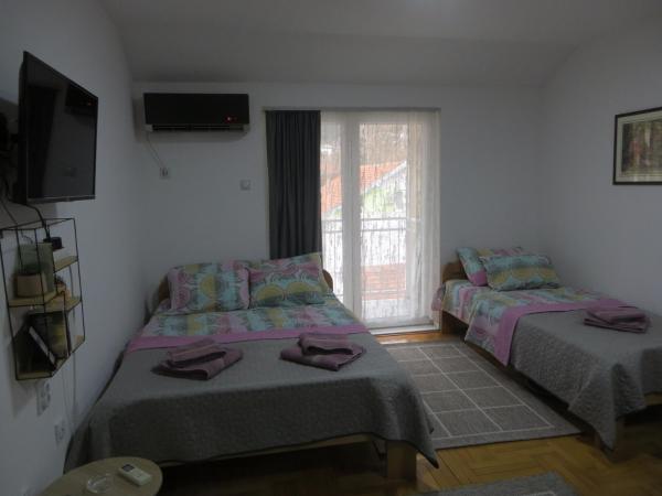 Studio Centar Park - Sokobanja