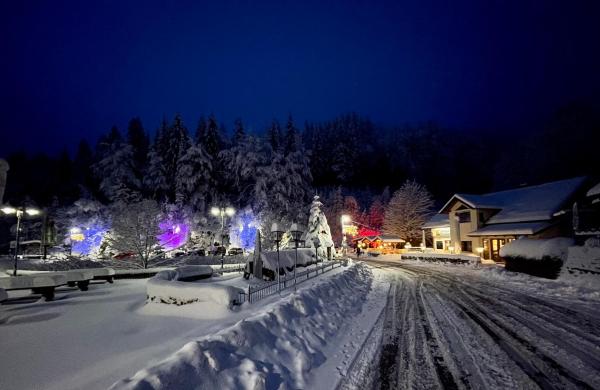 Hotel & Gasthaus Sterngrund - Oberhof