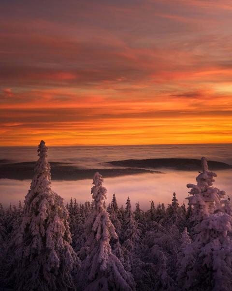 Ferienwohnung Im Chaletstil Sonnenidyll 51 Qm Wellness Fitness Sauna Bergrödelhof - Hof