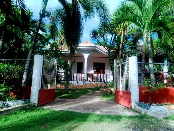 Palmera Palma Private 1-br Bungalow In Moalboal - Moalboal