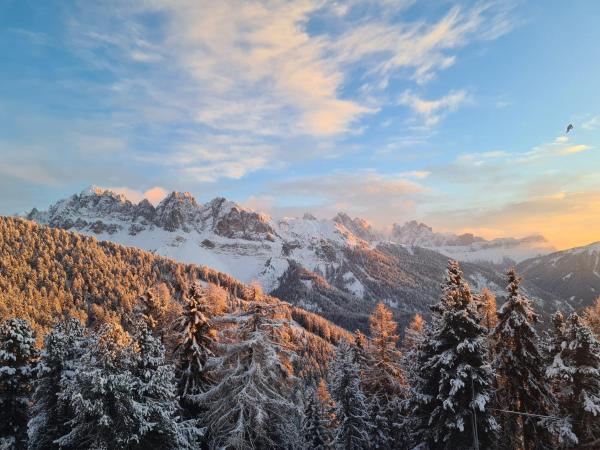 Plose Parkhotel & Residence - Seiser Alm