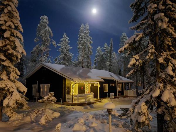 Starflower Of Ylläs - Kittilä
