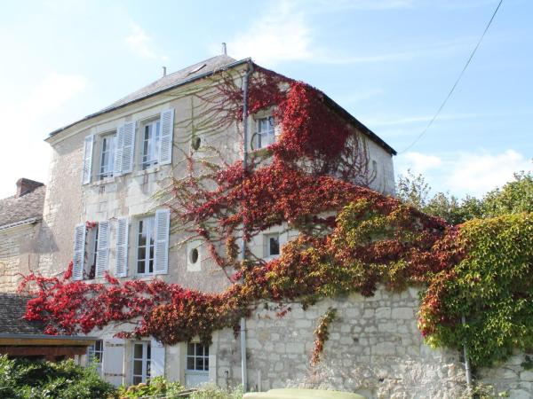 Gîte Au Calme Avec Jardin Et Wifi à La Roche-posay - Fr-1-541-52 - France