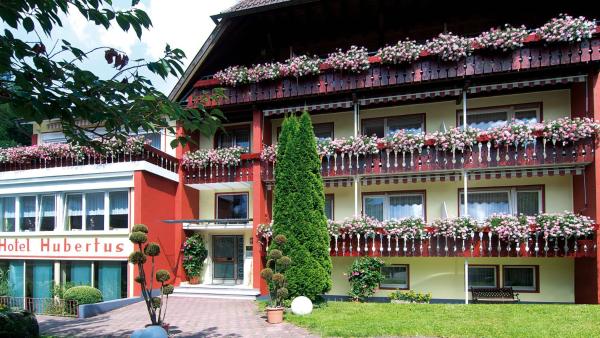 Haus Hubertus - Wolfach