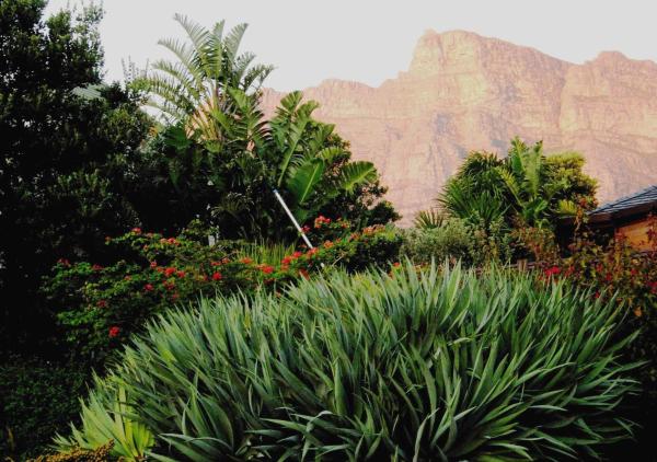 Bakoven Cottage - Camps Bay