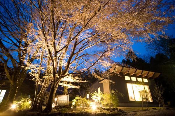 Forest Inn Born - Beppu