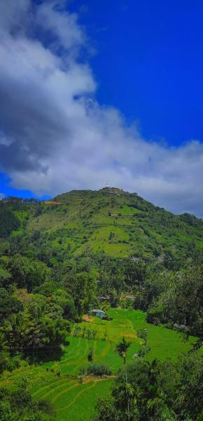Green Leaf Resort - Sri Lanka