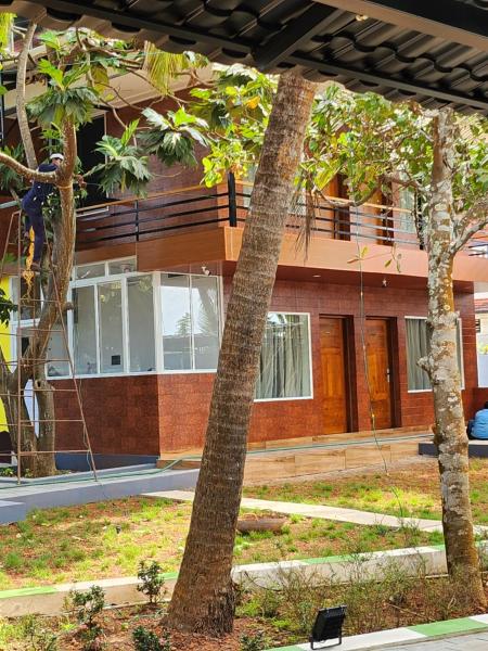 The Vibe Resort And Home Stay - Kerala