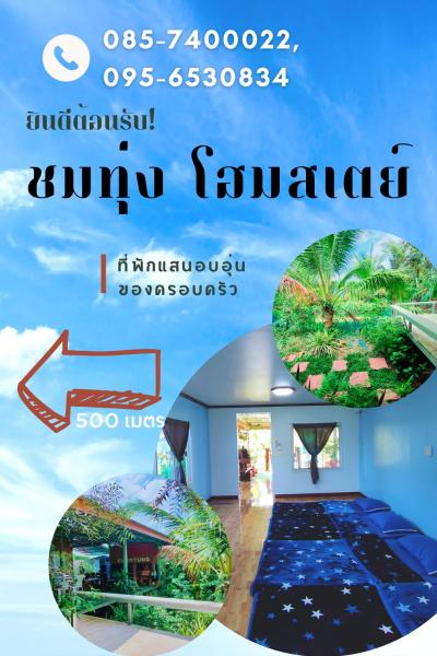 ชมทุ่ง โฮมสเตย์ - Thailand