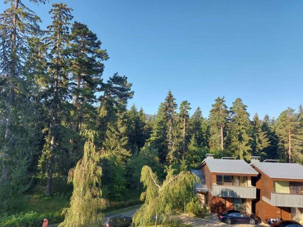 Residence E205 Euphoria Borovets - Bulgaria
