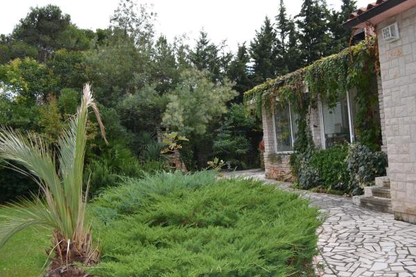 Villa Edward - Premantura