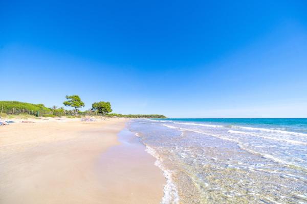 Las Palmeras Camping & Bungalow - Tarragona