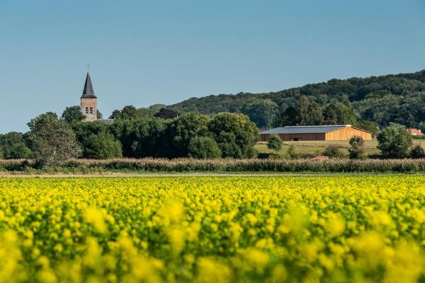 B@b Martinushoeve - Belgique
