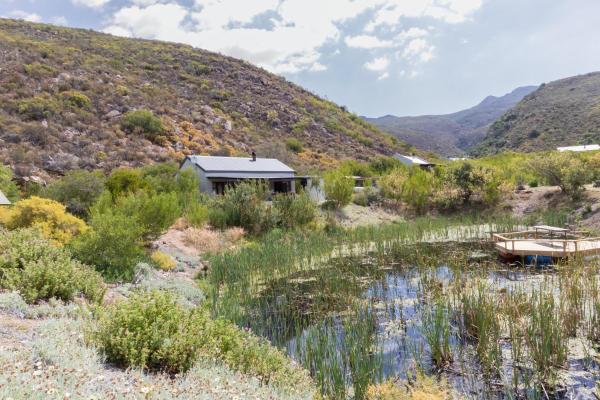 Cederkloof Botanical Retreat - Citrusdal