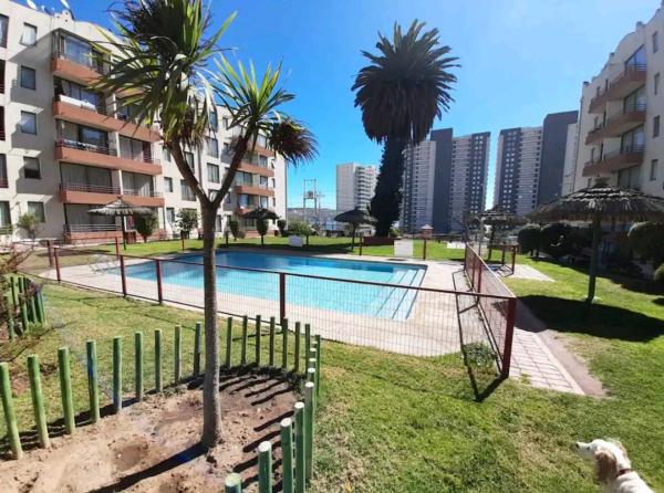 Cómodo Departamento A Una Cuadra De Playa La Herradura - Coquimbo