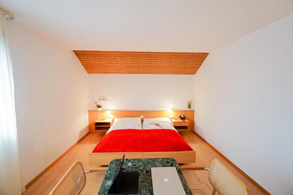 Centra Hotel Zurich - Winterthur