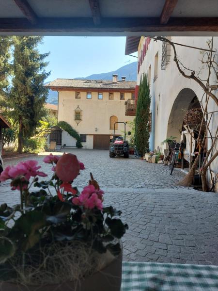 Ansitz Von Wohlgemuth - Bolzano