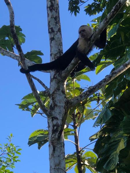 Greenpoint Drake Bay - Costa Rica