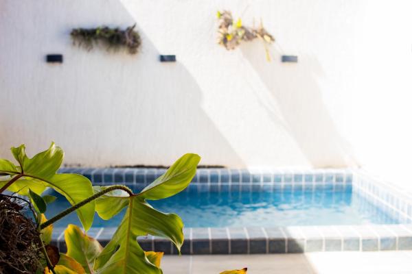 Casa Kayak - Villa Remo Milagres Piscina Privativa - São Miguel dos Milagres