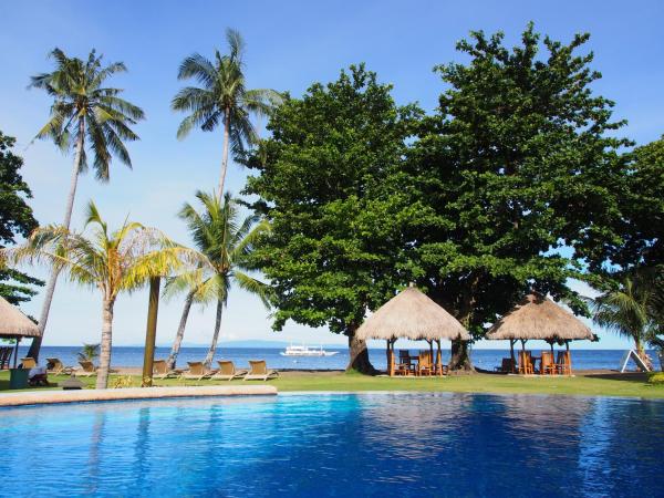 Pura Vida Beach & Dive Resort - Bacong