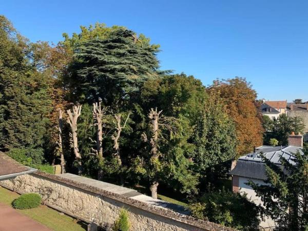 Studio Calme, Grand Parquet,chateau,insead - Barbizon