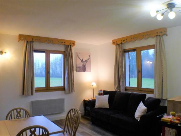 Charmant 2 Pièces Cabine Avec Parking Et éQuipement Modern à Samoëns - Fr-1-629-121 - Samoëns