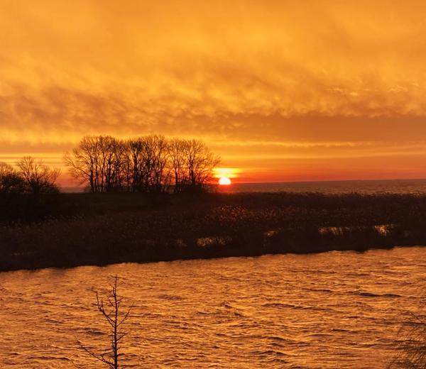 Auszeit Am Haffufer - Usedom